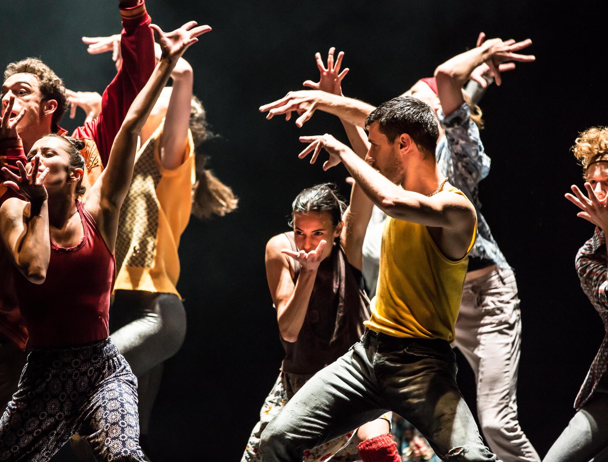 Swan Lakes | Dance | videotanz